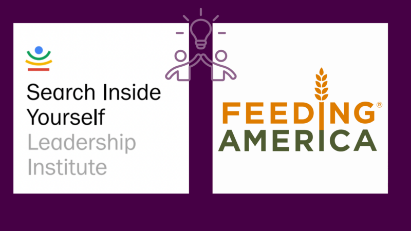 Meaningful Progress: Impact of SIY at the Feeding America Network - SIYLI